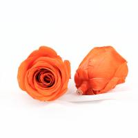 China 6 Buds/Box 5-6cm Artificial Preserved Rose Heads For Wedding for sale