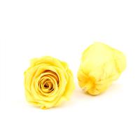 China 100% Handmade Diameter 5-6cm Eternal Rose Flower For Valentines Day for sale