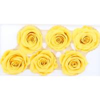 China Immortal Diameter 5-6cm Preserved Rose Flower For Mothers Day for sale