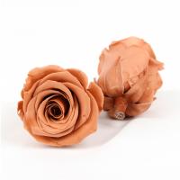 China Handmade 5-6cm Diameter Immortal Rose Flower For Mothers Day Gift for sale