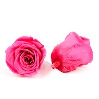 China Eco Friendly Diameter 5-6cm No Pollen Real Eternal Roses for sale
