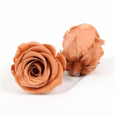 China Eco Friendly Diameter 5-6cm No Pollen Real Eternal Roses for sale