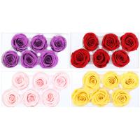 China Eco Friendly Diameter 5-6cm No Pollen Real Eternal Roses for sale