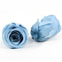 China Cell Replacement Dyeing 6pcs Diameter 5-6cm Preserved Rose Heads for sale