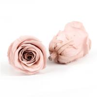 China Cell Replacement Dyeing 6pcs Diameter 5-6cm Preserved Rose Heads for sale