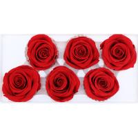 China Allergy Friendly 5-6cm Preserved Rose Flower Heads for sale