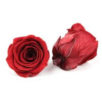 China Allergy Friendly 5-6cm Preserved Rose Flower Heads for sale