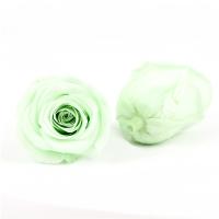 China Multicolor 5-6cm A Grade Preserved Rose Heads for sale