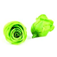 China Multicolor 5-6cm A Grade Preserved Rose Heads for sale