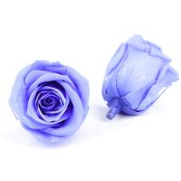 China Multicolor 5-6cm A Grade Preserved Rose Heads for sale