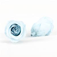 China A Grade 5-6cm Preserved Flower Heads For Floral Design for sale