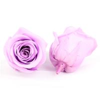China A Grade 5-6cm Preserved Flower Heads For Floral Design for sale
