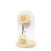 China Upscale Dia7-8CM Preserved Rose Glass Dome For Home Decoration for sale