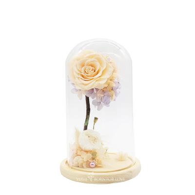 China Upscale Dia7-8CM Preserved Rose Glass Dome For Home Decoration for sale