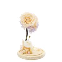China Upscale Dia7-8CM Preserved Rose Glass Dome For Home Decoration for sale