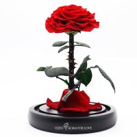 China Preserved 14*14*22CM Long Stem Glass Roses For Wedding for sale