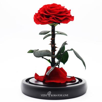 China Preserved 14*14*22CM Long Stem Glass Roses For Wedding for sale
