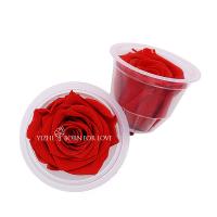 China Customized Color Preserved Rose Heads Indoor Decoration for sale