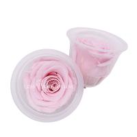 China 4-5cm Pink Preserved Roses In A Box Long Lasting for sale