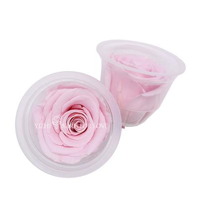 China 4-5cm Pink Preserved Roses In A Box Long Lasting for sale