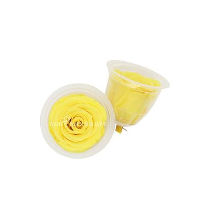 China Decorative Fresh Cut Yellow Preserved Roses 2-3 Cm for sale