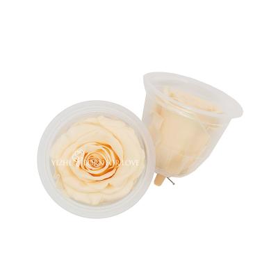 China 5-6cm Eternal Everlasting Preserved Rose Heads A Grade for sale