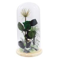 China Eternal Roses In Glass Home Cute Decoration Preserved Flower Gift Boxs For  Valentine’S Day for sale