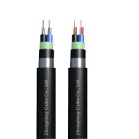 China Steel Tape Armoured STA Low Voltage Cable 2 Core XLPE Insulated Copper Aluminum Conductor 1KV Rating for sale