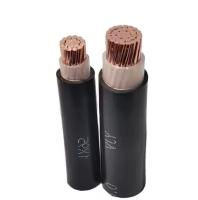 China OEM Single Core 1000V Low Voltage Cable with Copper Conductor PVC Insulation - 10mm² to 400mm² Cross-Section for sale