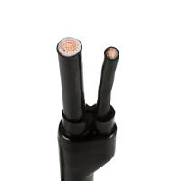 China Stranded Copper Conductor Prefabricated Branch Cable for Low Voltage Distribution with IEC60502 Standards and 50% Faster Installation for sale
