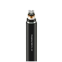 China YJLHV62 YJLHV22-18/30kV Aluminum Alloy Conductor Power Cable with XLPE Insulation and Metal Tape Armouring for sale