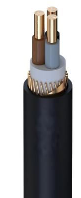 China LSZH Control Cable Copper Conductor XLPE Insulated 450/750V NYCY N2YCY with 0.5-10mm² Cross Section for sale