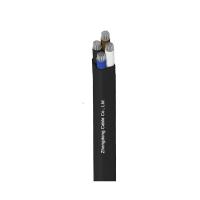 China 0.6/1kV LV Aluminium Power Cable AVVG with EAC Certification for Cable Tray Systems for sale