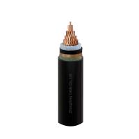 China Fire Rated 110kV HV Power Cable with IEC 60840 and IEC 62067 Standards for Distribution Networks for sale