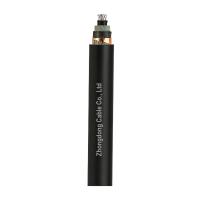 China Aluminium Conductor XLPE Power Cable with Copper Screen PVC Sheath NA2XSY NA2XSEY for sale