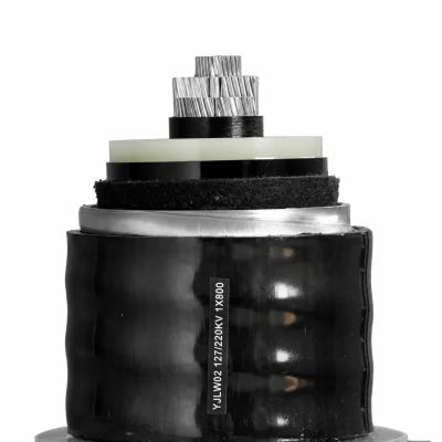 China 110kV XLPE Insulated Aluminum Conductor Power Cable Lightweight Cost Efficient 240mm2 for sale