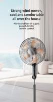 China Energy-Saving Air Circulation Floor Fan Small Size Strong Wind High Airflow Floor Model for Box Power-Efficient Air for sale