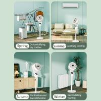China Smart Silent Electric Air Circulation Fan Comfortable Convenience for Home Office Small Size Plastic Vertical Desktop Floor Fan for sale