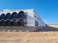 China Commercial Steel Poultry House Chicken Farm Building 120m Length Custom Design for sale