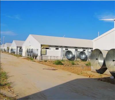 China Custom Steel Structure Building Beams Q355B H Section for Industrial Warehouses for sale