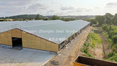 China Customizable Steel Structure Poultry House Q235 Steel Frame 80m Span Easy Assembly Chicken Farm Building for sale