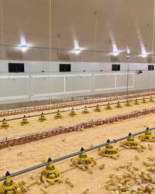 China Prefabricated Steel Structure Poultry House 10000 Bird Capacity Customizable Design for sale