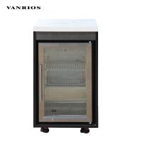 China Signature Outdoor Beverage Cabinet 63L with Integrated Refrigeration Module for sale