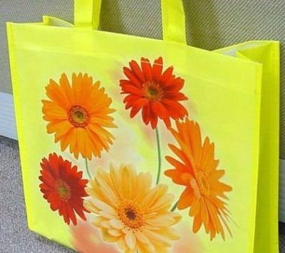 China Non Woven Shopping Bag for sale