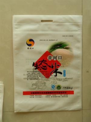 China Non Woven Shopping Bag for sale