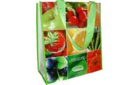 China PP Woven Shopping Bag for sale