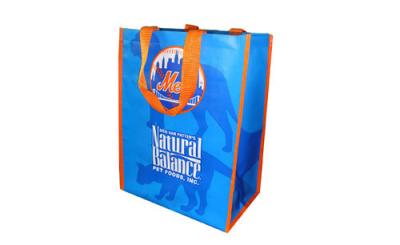 China PP Woven Shopping Bag for sale