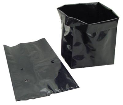 China 4mil 5mil LDPE  UV resistant black poly planter bags plastic grow bags for greenhouse for sale