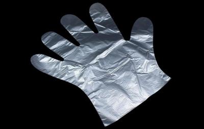 China Clear Disposable Poly PE Gloves  Food Service Safety Glove  Powder Free for sale
