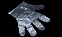 China Clear Disposable Poly PE Gloves  Food Service Safety Glove  Powder Free for sale